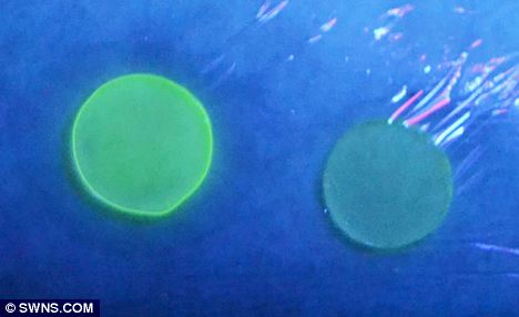 Scientists Create Plaster That Glows At Detection Of Infections ...