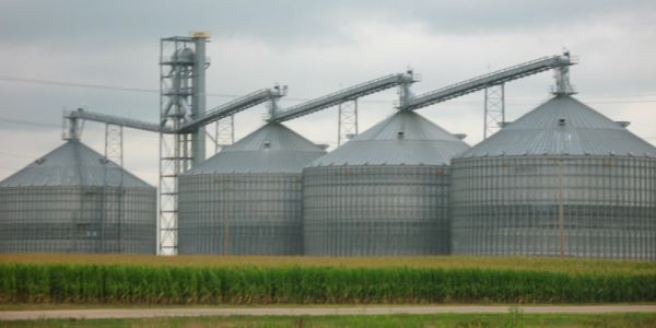 Crop-Processing-Zones – Channels Television