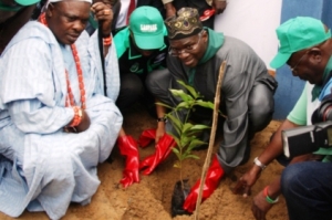 Lagos State Govt Marks 7th Year Of Tree Planting Campaign – Channels ...