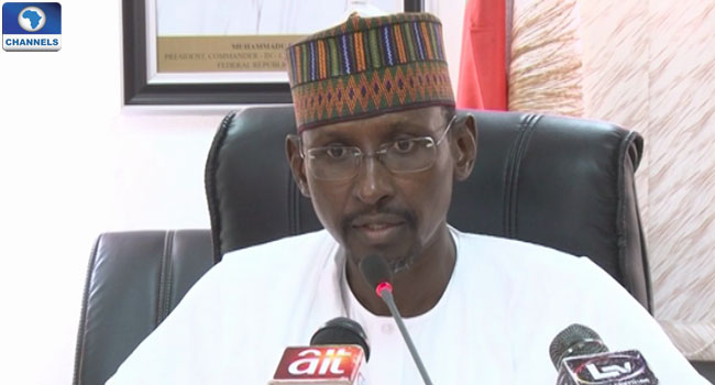 Cattle On The Loose Compete With Vehicles In Nigeria’s Capital ...