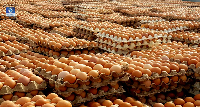 Kano tea sellers empowerment 1 • Channels Television