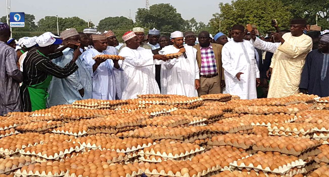 Kano Govt Empowers Tea Sellers – Channels Television