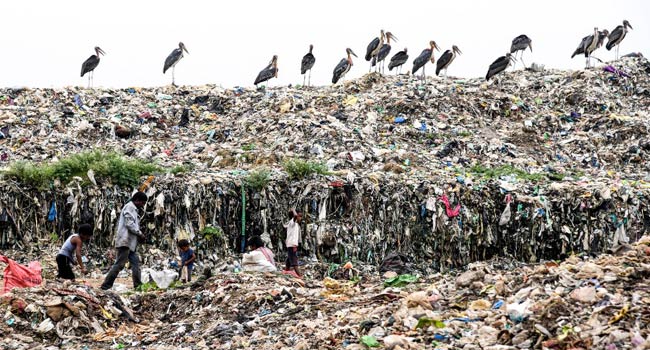 India’s Rubbish Mountain To Rise Higher Than Taj Mahal – Channels ...