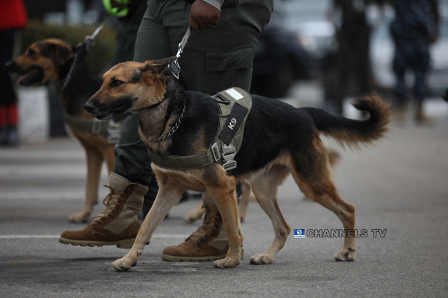 IGP Deploys Police Dogs To Railway Stations Across The Country ...