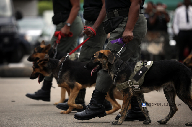 Police-Deploy-K9-Dogs-Across-the-Country-18 – Channels Television