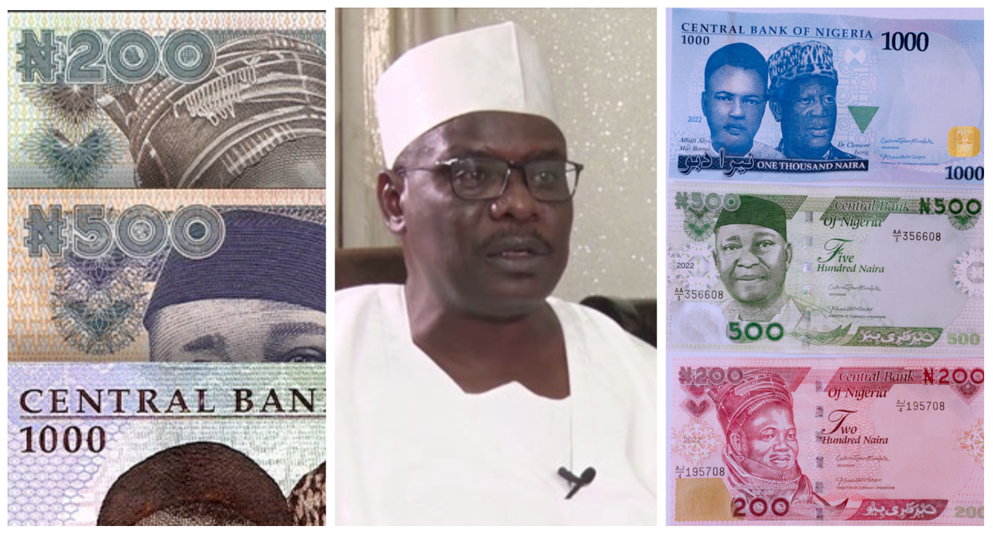Old Naira Deadline: Poor, Middle-Income Nigerians Will Suffer, Ndume Warns CBN – Channels Television