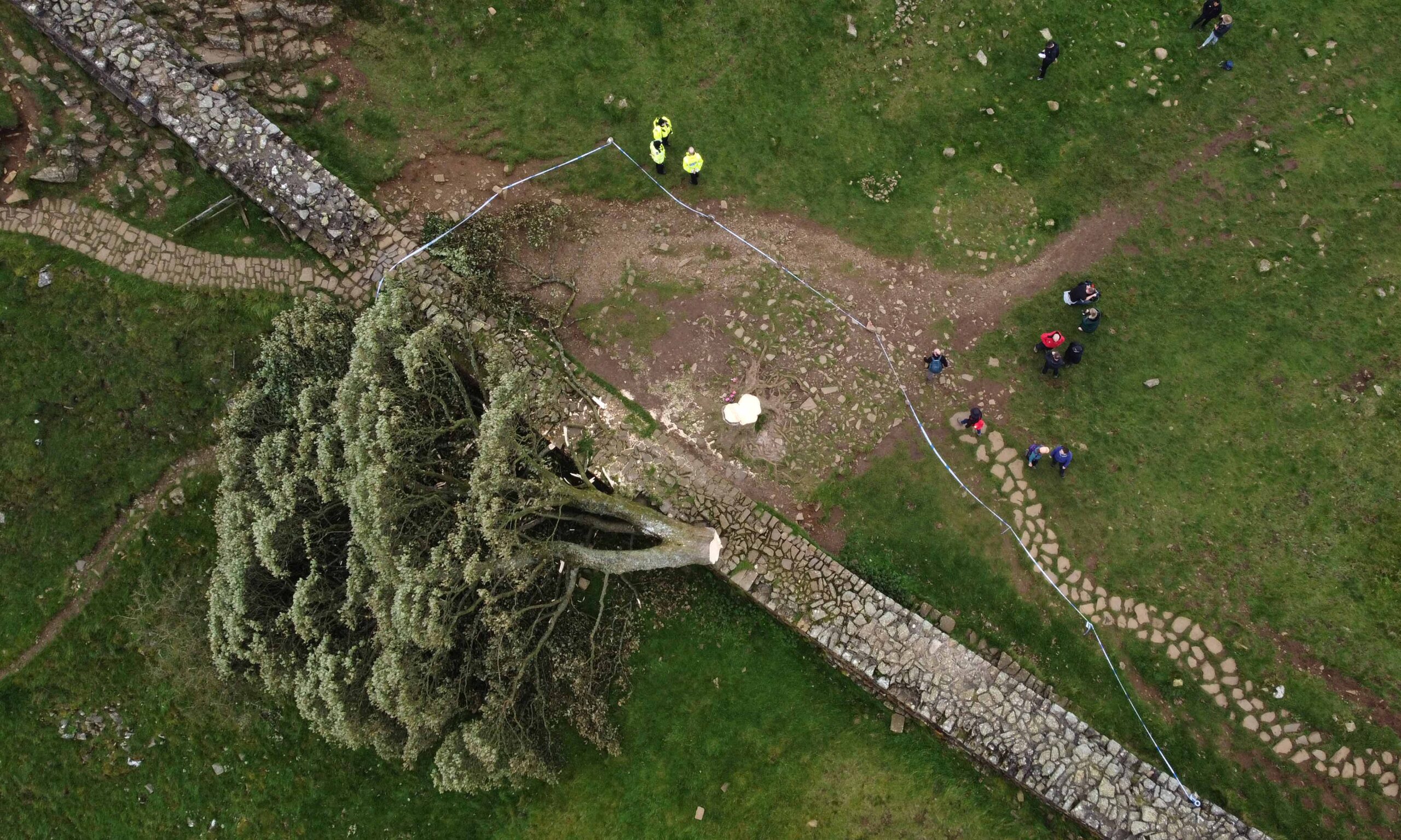 An aerial view shows the felled Sycamore Gap tree, along Hadrian's Wall, near Hexham, northern ...