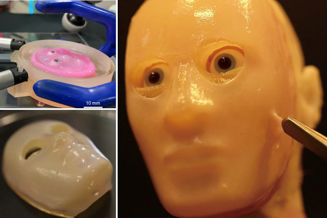 Robot face with lab-grown living skin created by scientists hoping to ...