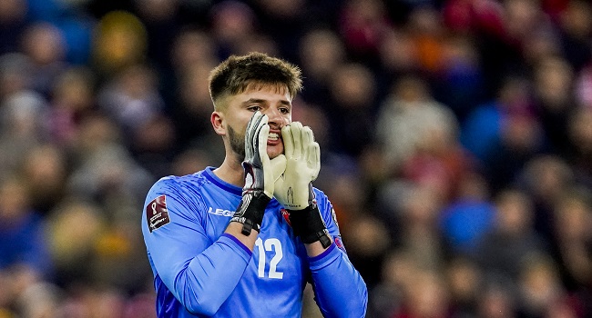 Millwall Goalkeeper Sarkic Dies At 26 • Channels Television