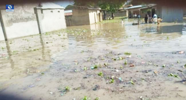 Local • Channels Television