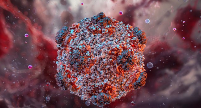 Hantavirus: NCDC Issues Safety Guidelines As Doctors Raise Concerns ...